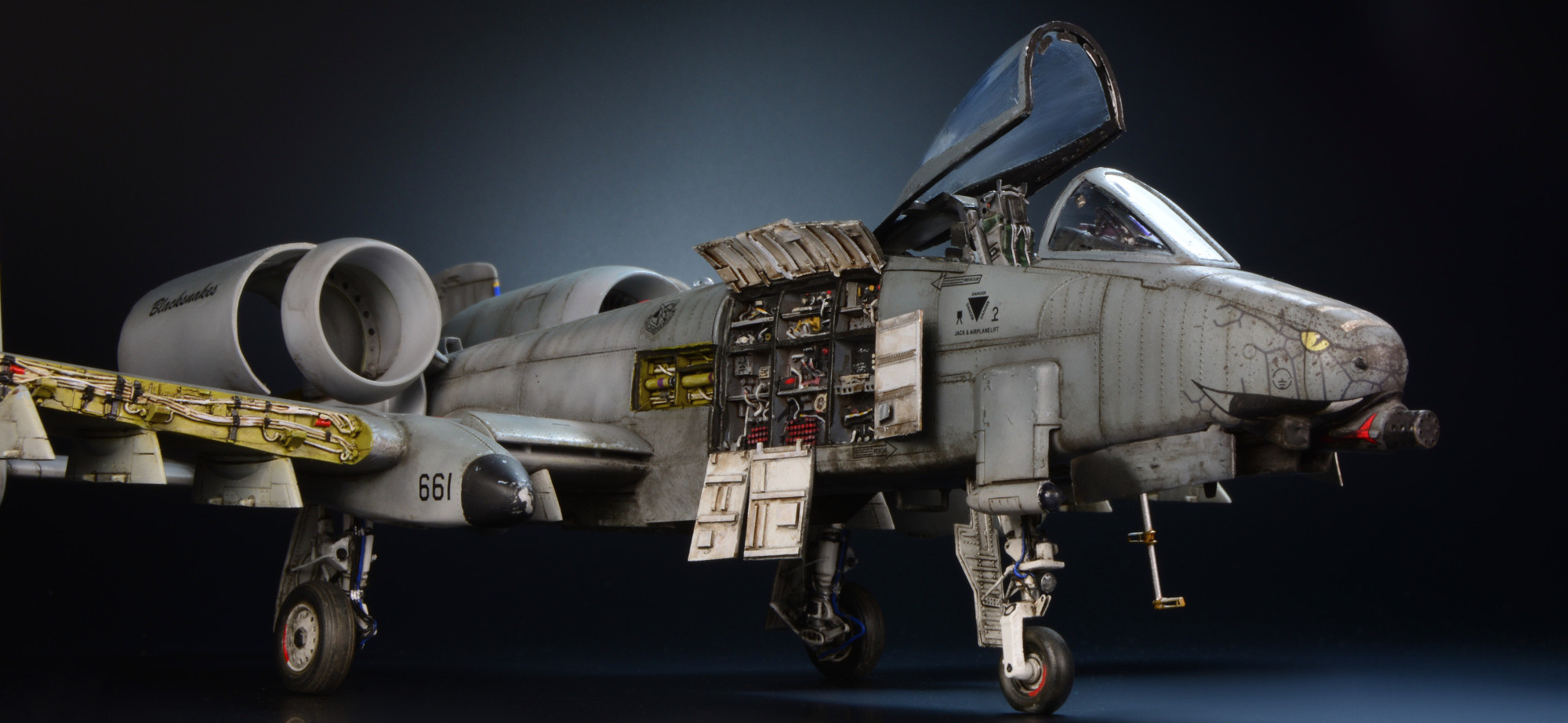 EASTmodels.sk - PLASMO - A10 Thunderbolt II Black Snake - VIDEO